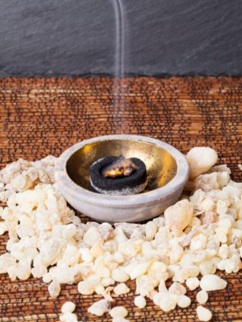 Fumigation : 15 Plantes & Encens pour Purifier les Lieux et l'Aura ...